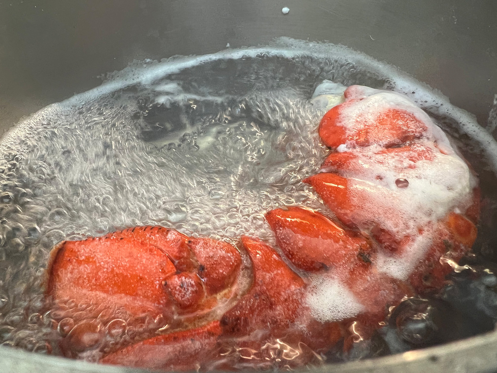 Midnight Lobster Risotto – Miss BeHavin's Haven