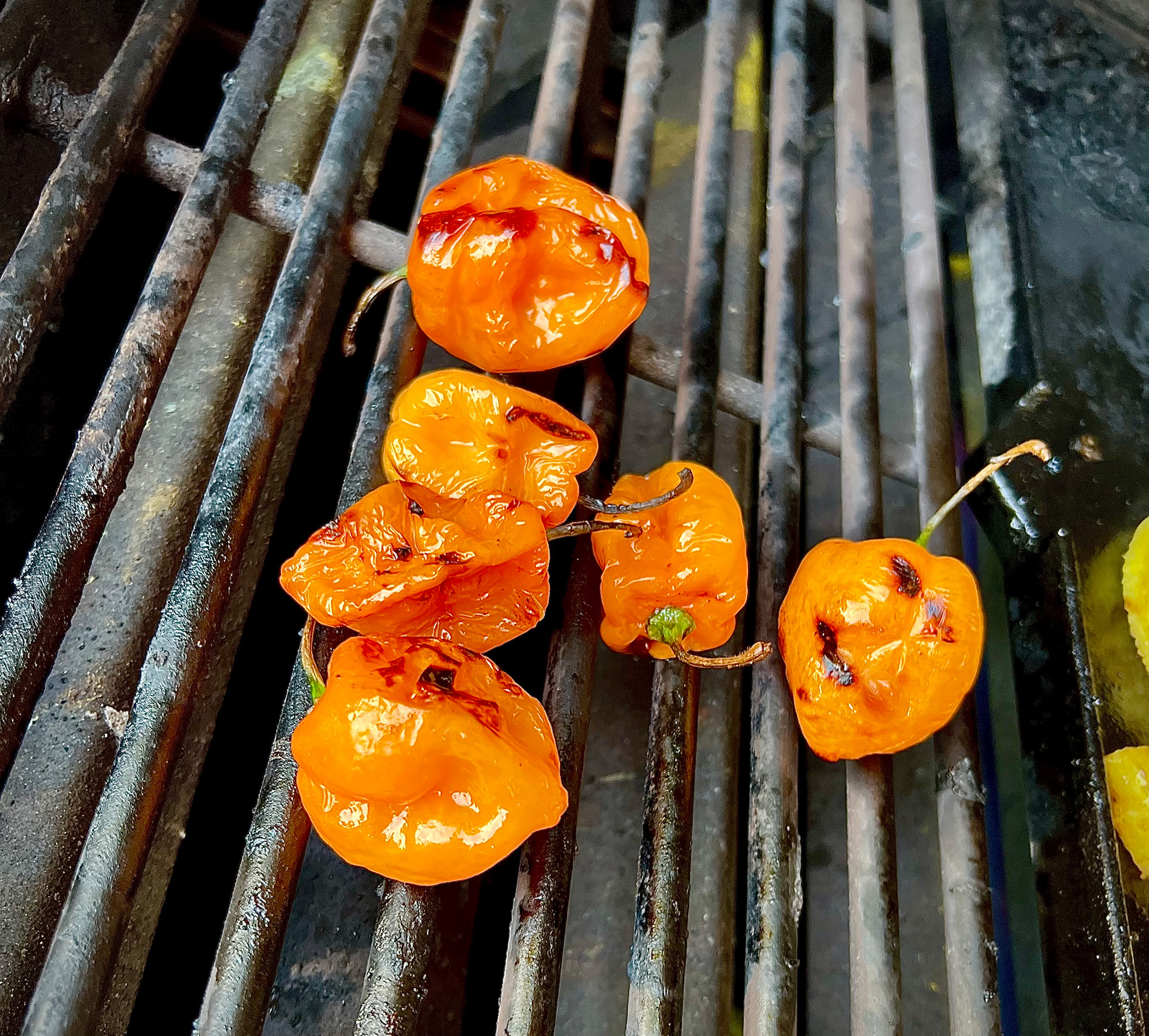 Cherry Fire Roasted Habanero Pineapple Pico – Miss BeHavin's Haven